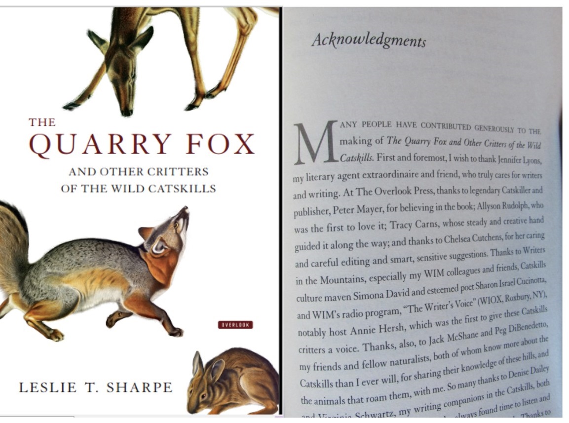 Simona David Consulting – Marketing & Publishing